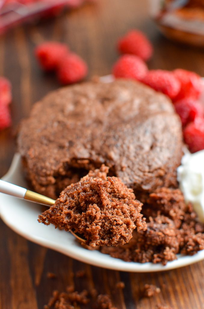Microwave Chocolate Mug Cake | Slimming Eats Recipes