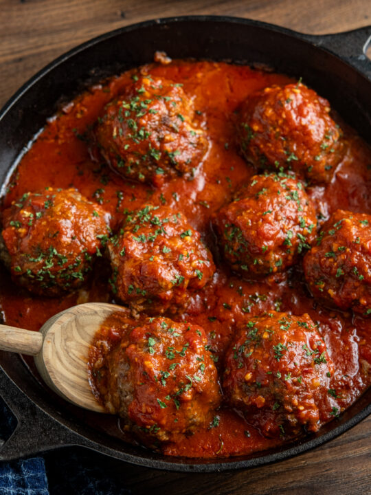 Slimming World Appetizers, Tasters and Party Food Recipes